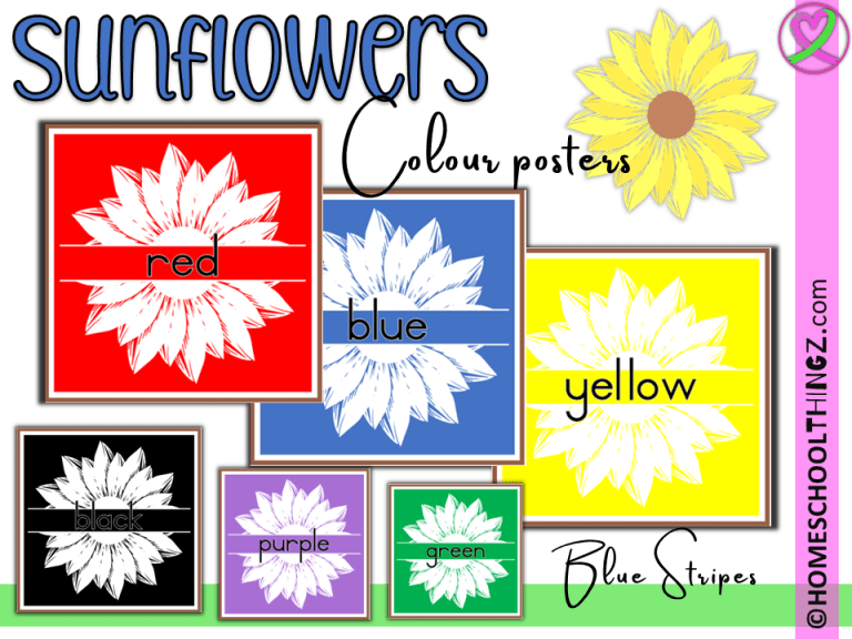 Sunflower Posters and Resources. pdf – HOMESCHOOLTHINGZ.COM- The Family ...